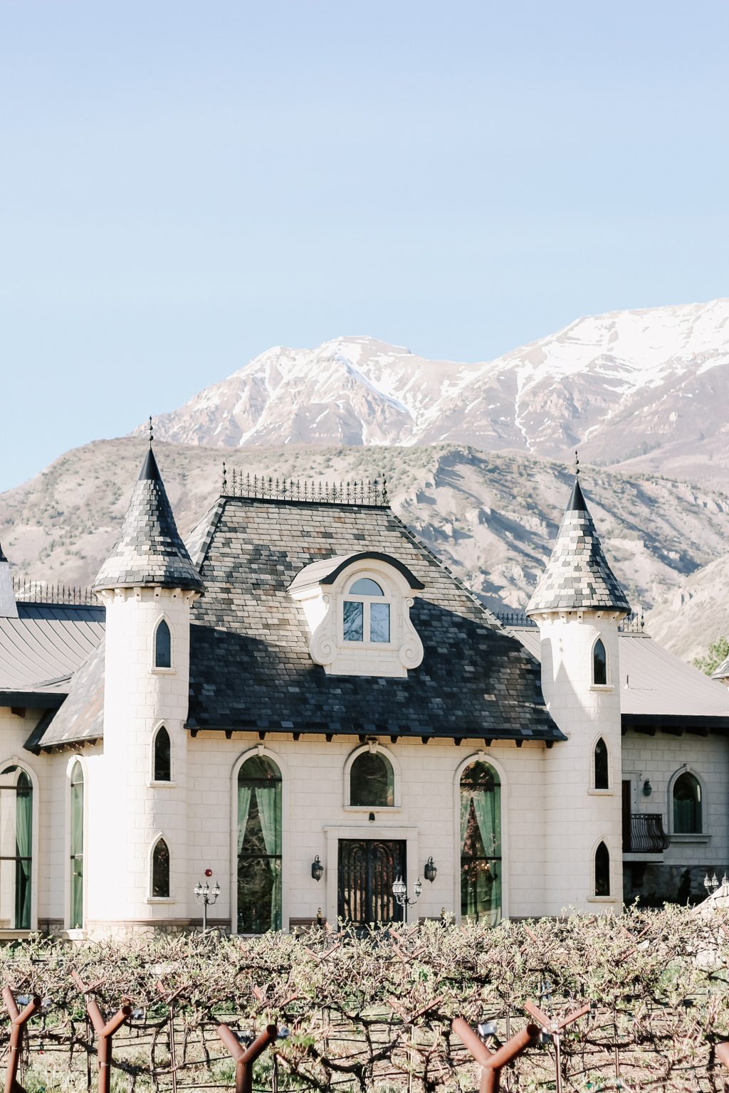 The Gorgeous Wadley Farms Wedding Venue | Adrian Wayment Photo