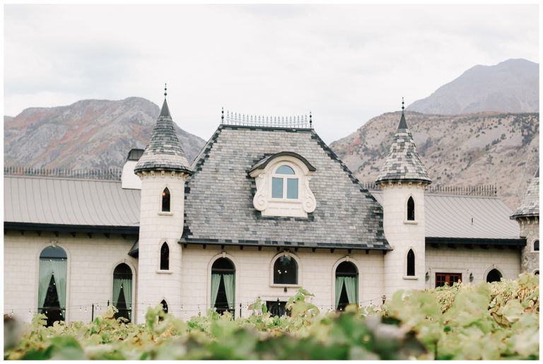 The Gorgeous Wadley Farms Wedding Venue | Adrian Wayment Photo