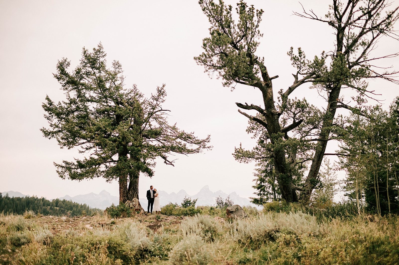 Why The Wedding Tree Near Jackson Hole is Best for Elopements